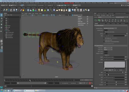 用MAYA Xgen毛发统制作的写实狮子模型-哺乳模型库-Maya(.ma/.mb)模型下载-cg模型网