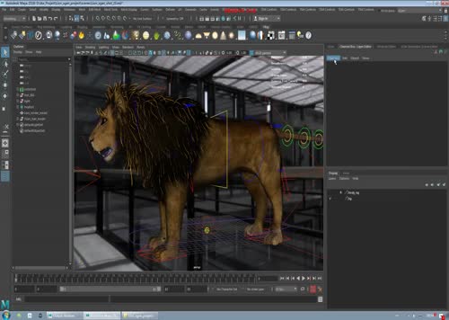用MAYA Xgen毛发统制作的写实狮子模型-哺乳模型库-Maya(.ma/.mb)模型下载-cg模型网