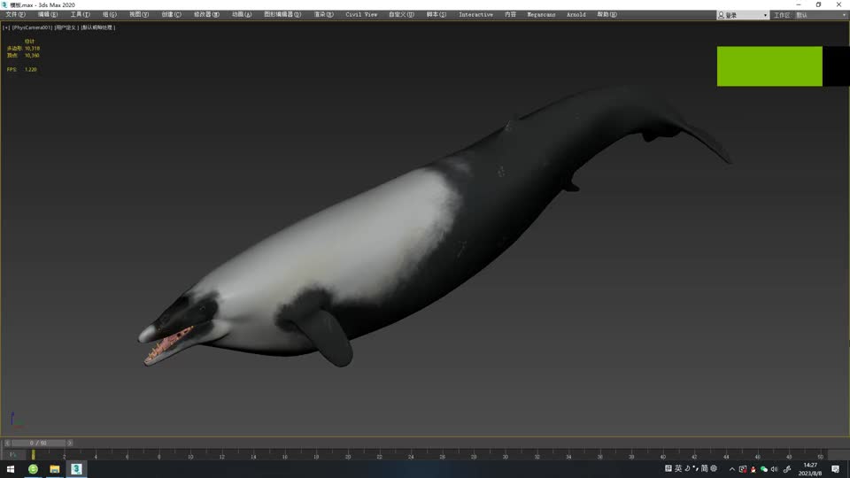 龙王鲸（有绑定 有动画）模型-鱼类模型库-3ds Max(.max)模型下载-cg模型网