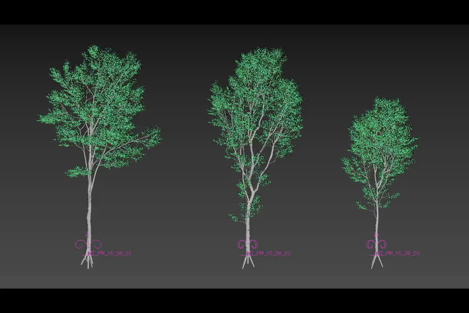 无限循环动态树模型-树木模型库-3ds Max(.max)模型下载-cg模型网