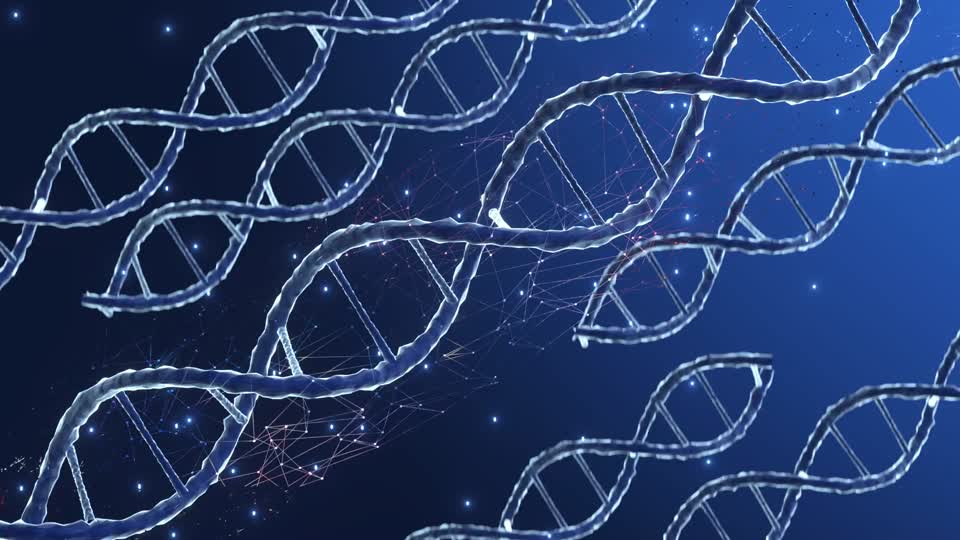 生物科学DNA模型-神经模型库-Cinema 4D(.c4d)模型下载-cg模型网